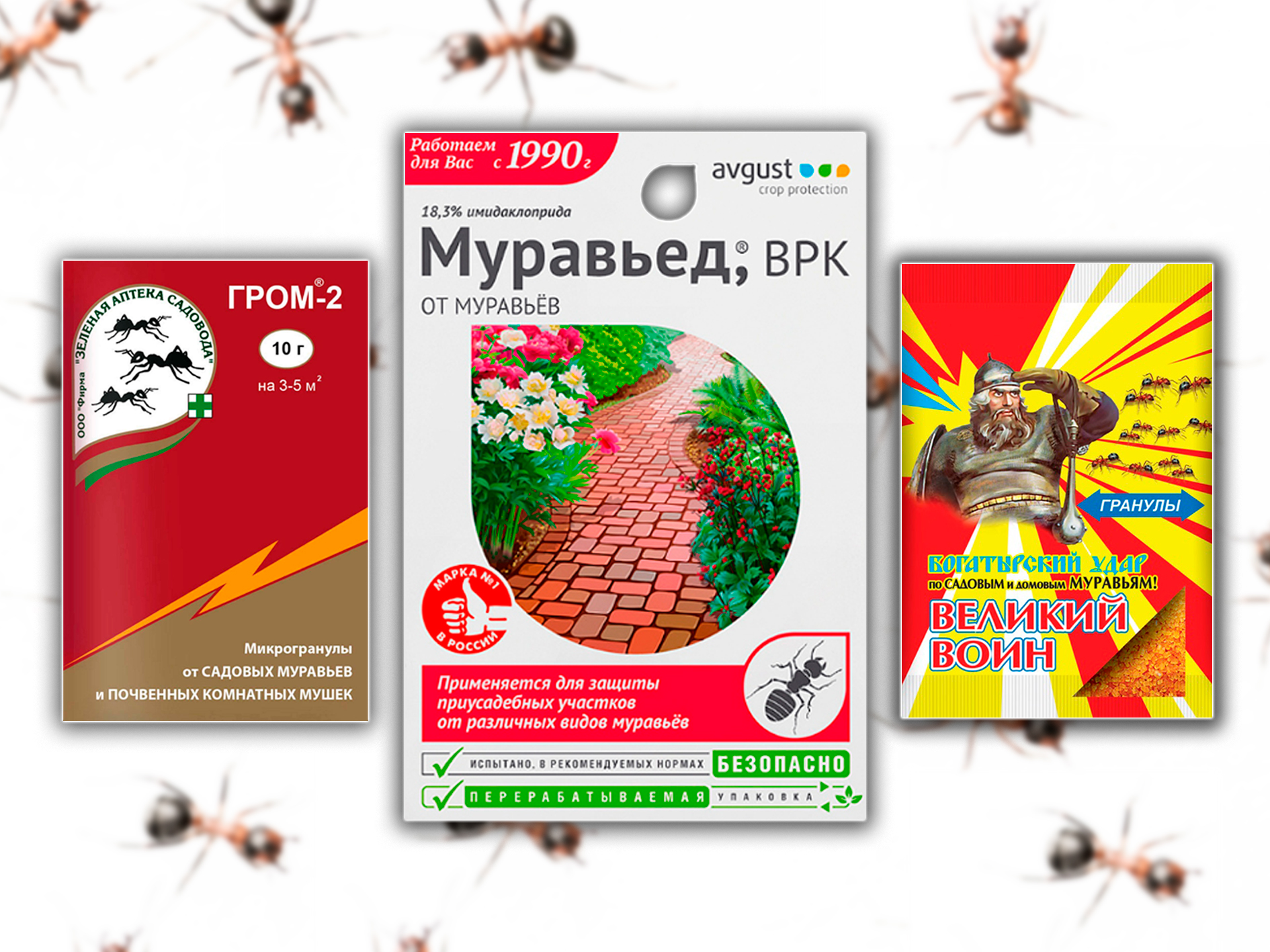 Купить Семена в Самаре почтой в интернет магазине. Каталог семян.